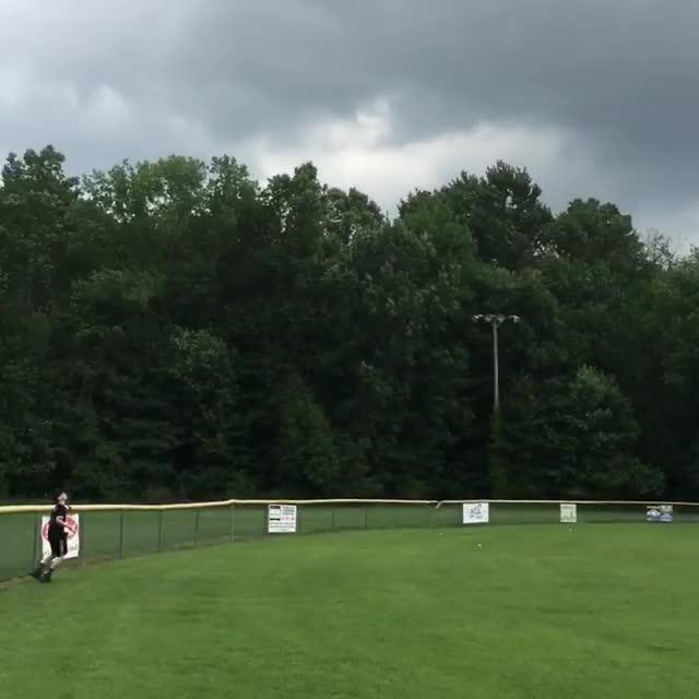 Outfielder Catches Ball Right at Fence During Baseball Game - Poke My Heart