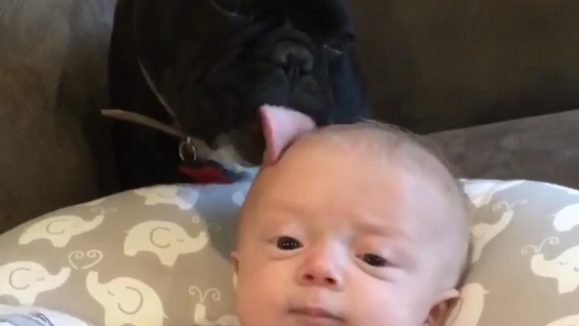 Bullies and Babies - Poke My Heart