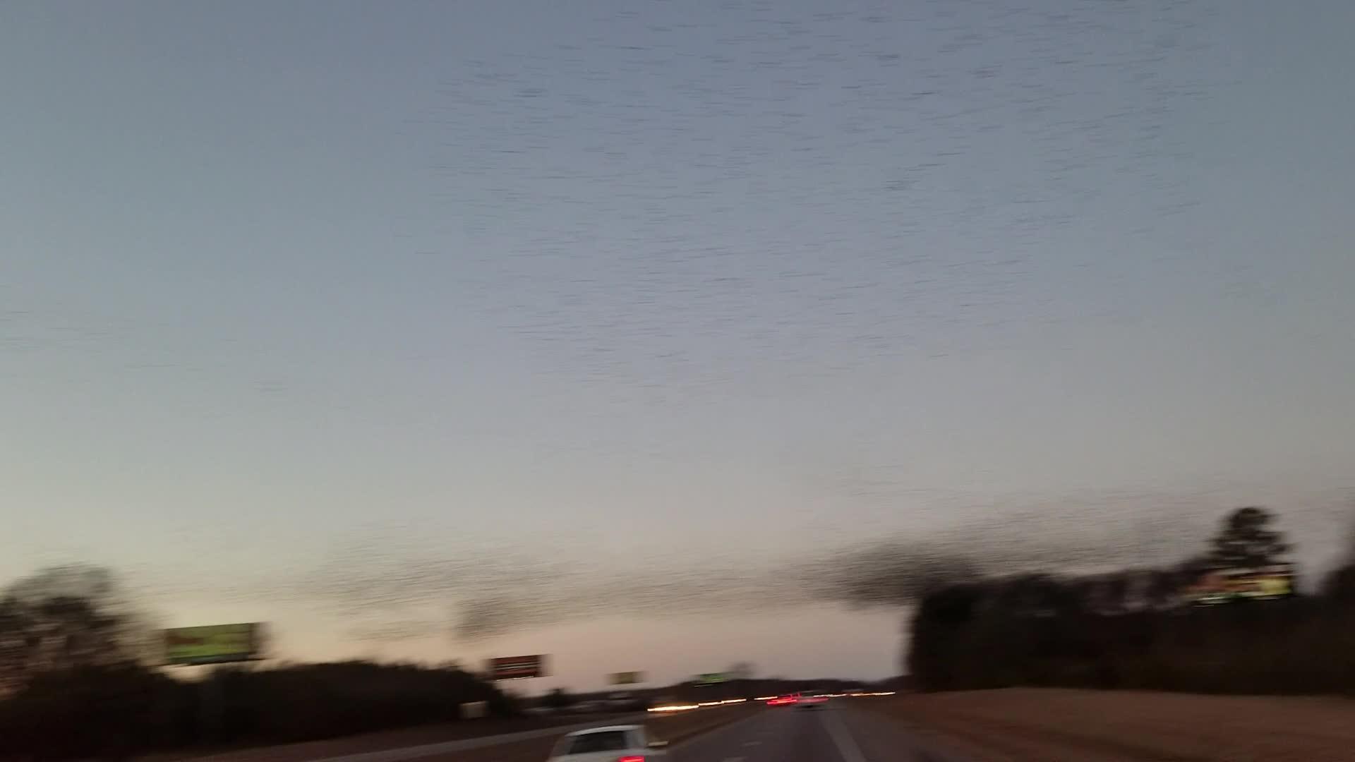 Massive Flock of Birds Fly in Shape-Shifting Patterns in Sky - Poke My ...