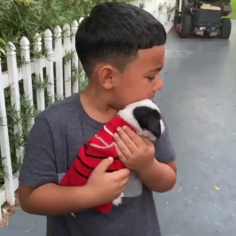 Adorable Little Boy Sobs When Given Puppy as Birthday Present - Poke My ...