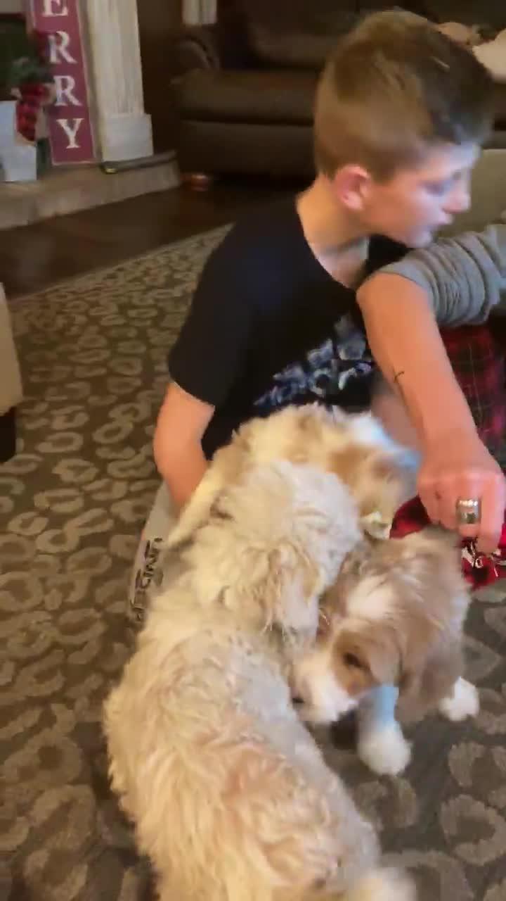 Mom Gives Adorable Reaction After Finding Out About Her Daughter's ...